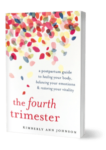 The Fourth Trimester - Kimberly Ann Johnson